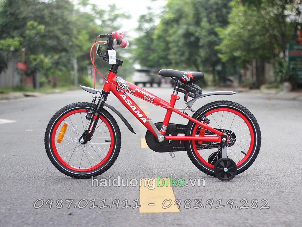 Xe đạp trẻ em Asama KID16'' KZB1602