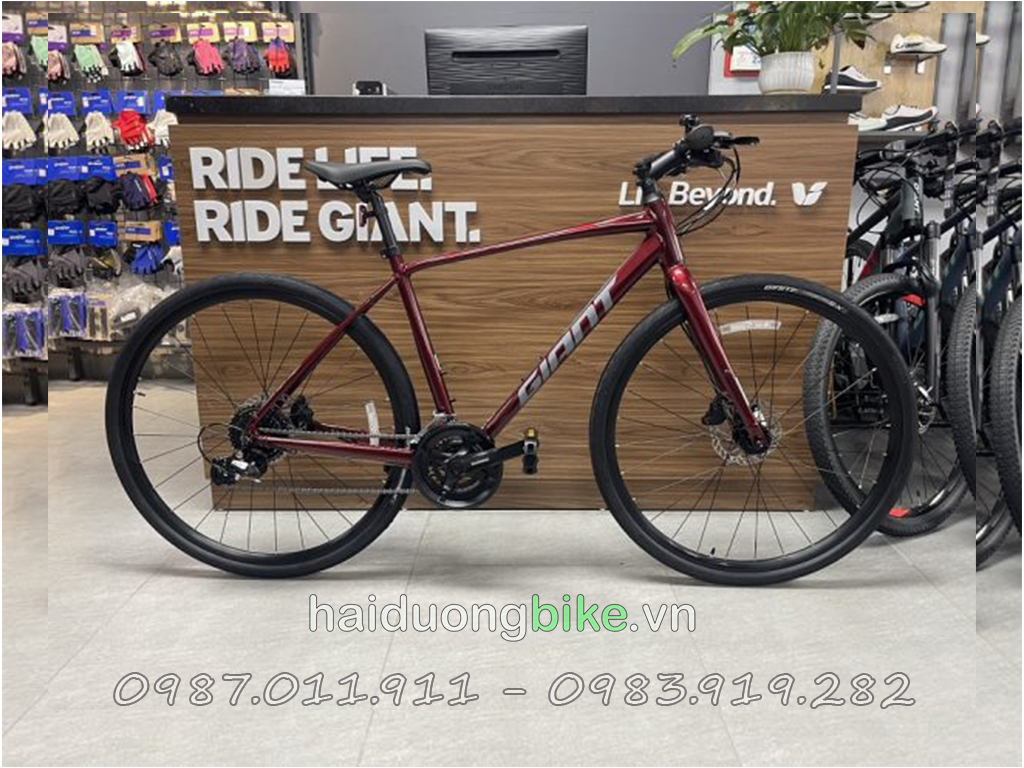 Xe đạp đường phố Giant Escape 2D 2024